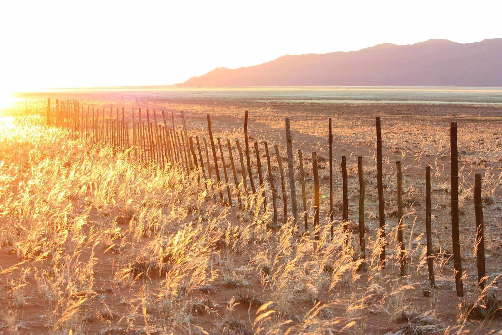 10 Things to do in Southern Namibia - Tracks4Africa Blog