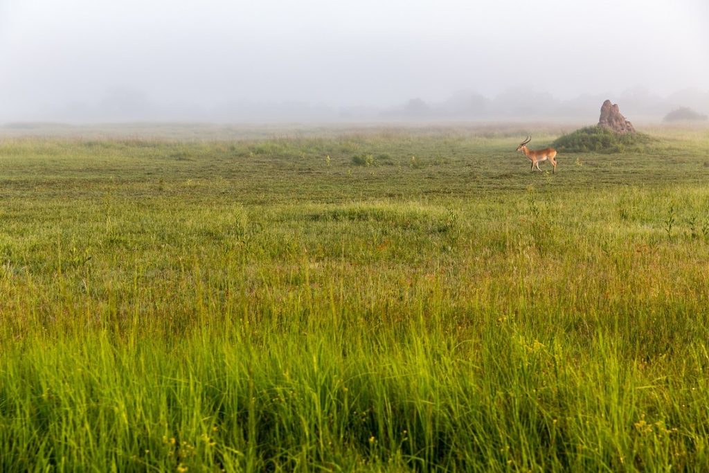 Three must-see wilderness wonders in Botswana’s north - Tracks4Africa Blog
