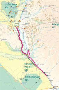 Rainy season Zambia and the Mango Route - Tracks4Africa Blog