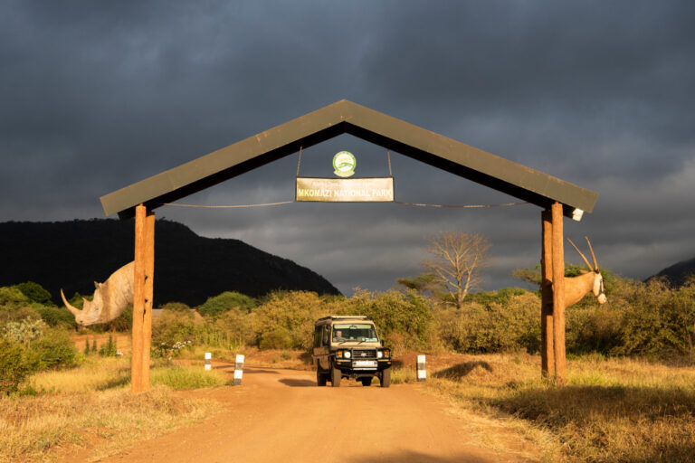 Why visit Mkomazi National Park - Tracks4Africa Blog