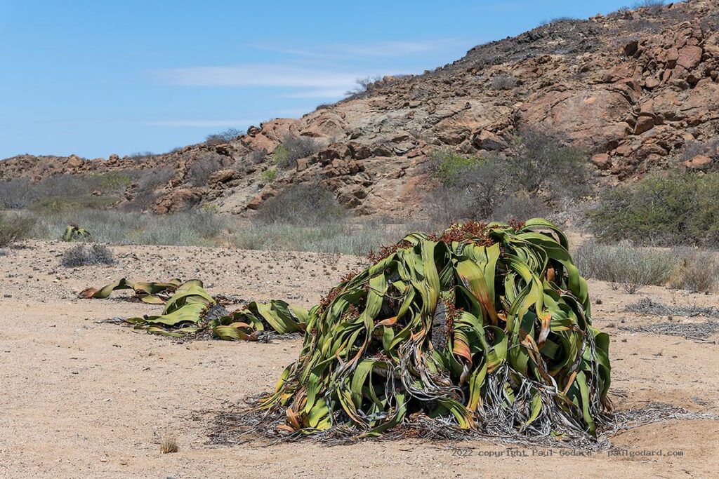 Angola through a photographer's eyes - Tracks4Africa Blog